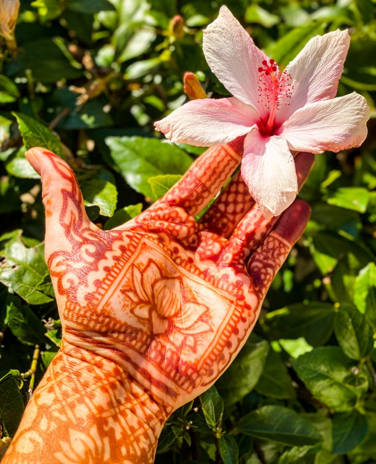 Pure Organic Henna and Jagua – Highest quality all natural products for ...